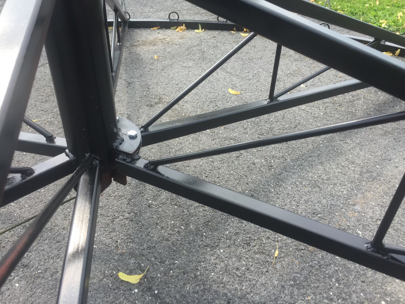 Trees – Northern Sky Lighting